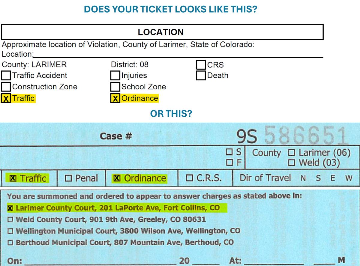 Pay a Ticket | Larimer County